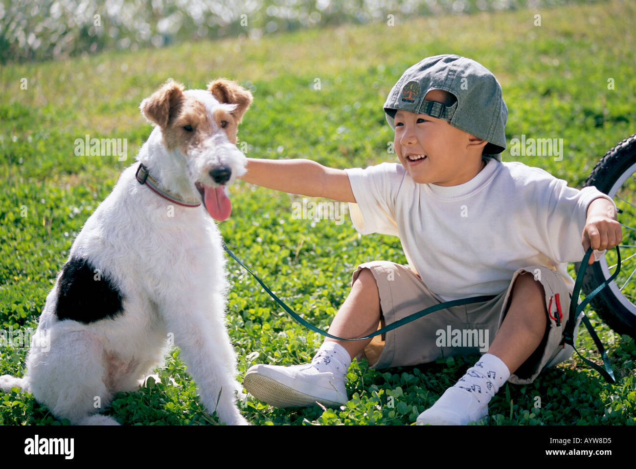 The boy with a dog hi-res stock photography and images - Alamy