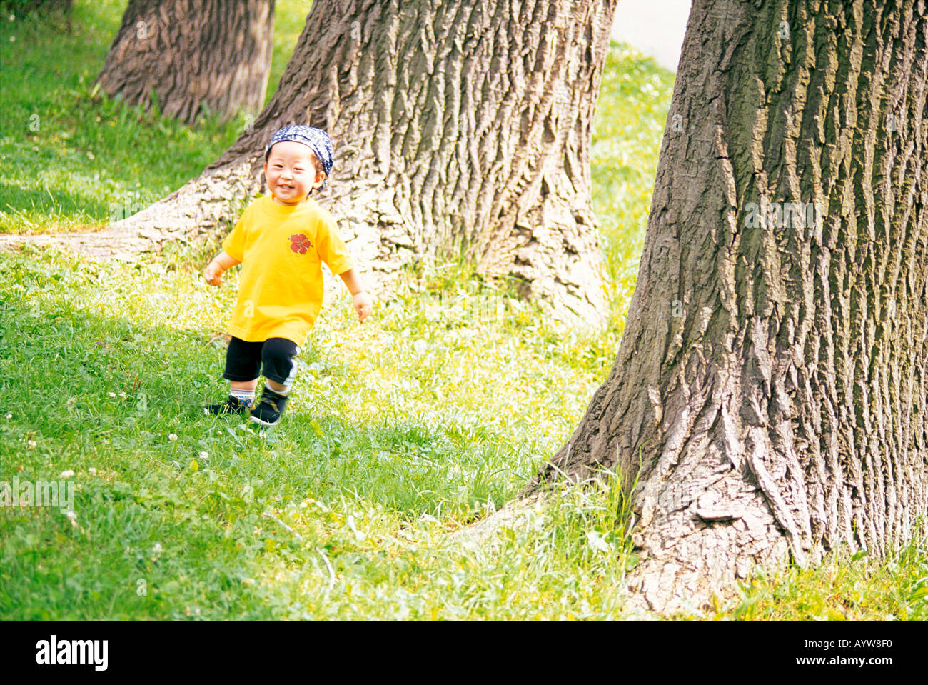 A little boy by the big trees Stock Photo - Alamy