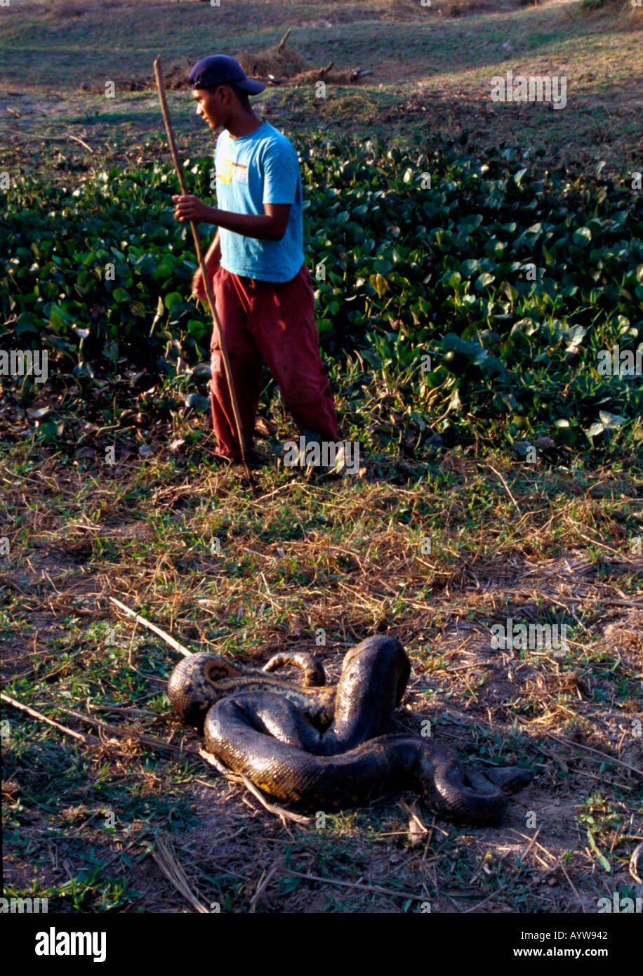Barefoot Native Venezuelan Indian hunts for Anaconda in Los LLanos ...