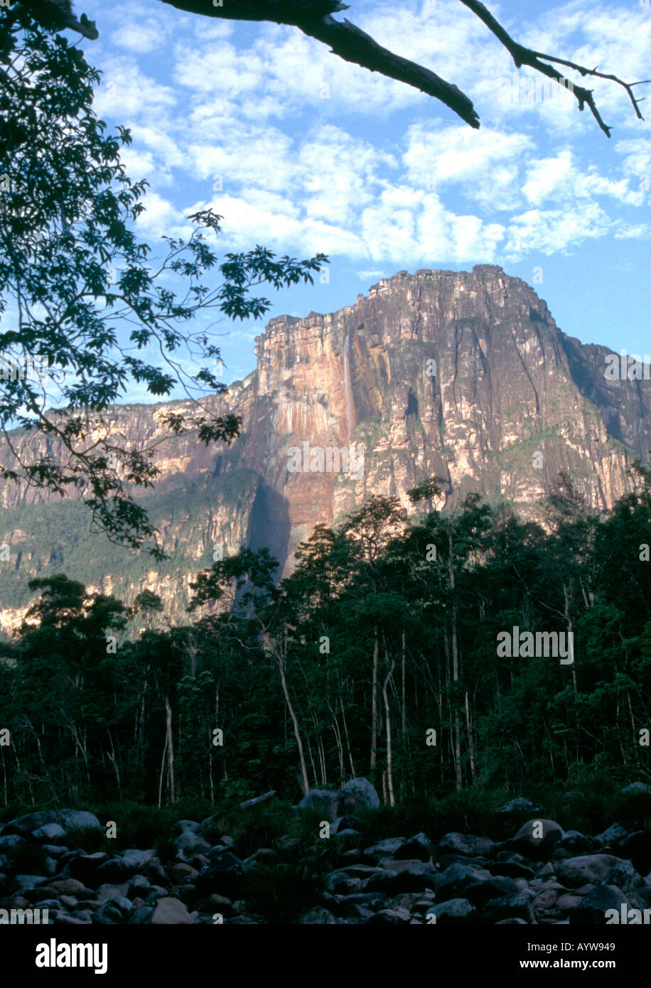 Angel falls venezuala hi-res stock photography and images - Alamy
