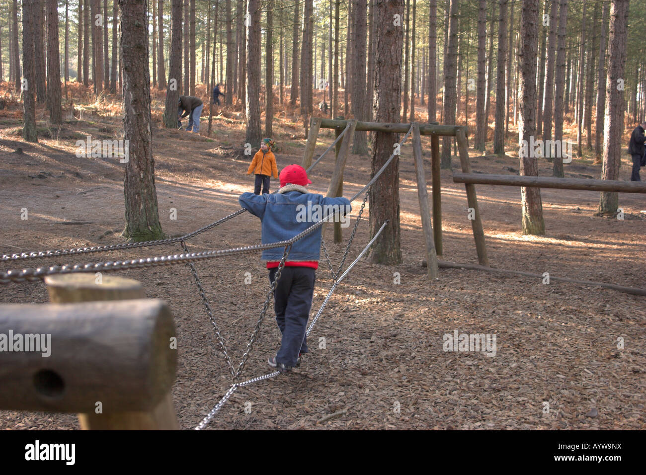 Moors Valley Country Park & Forest Stock Photo - Alamy