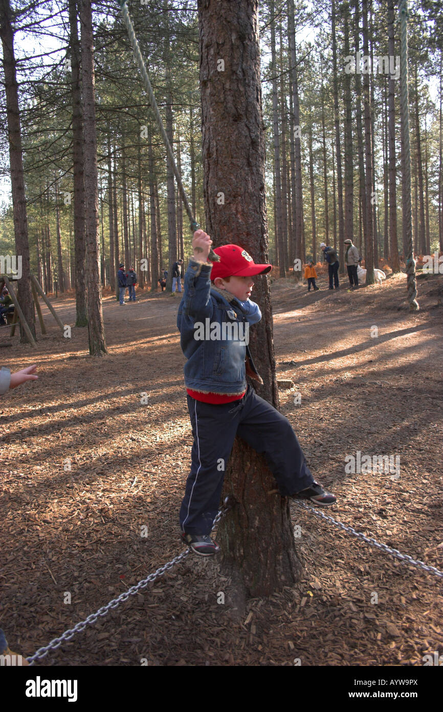 Moors valley forest dorset hi-res stock photography and images - Alamy