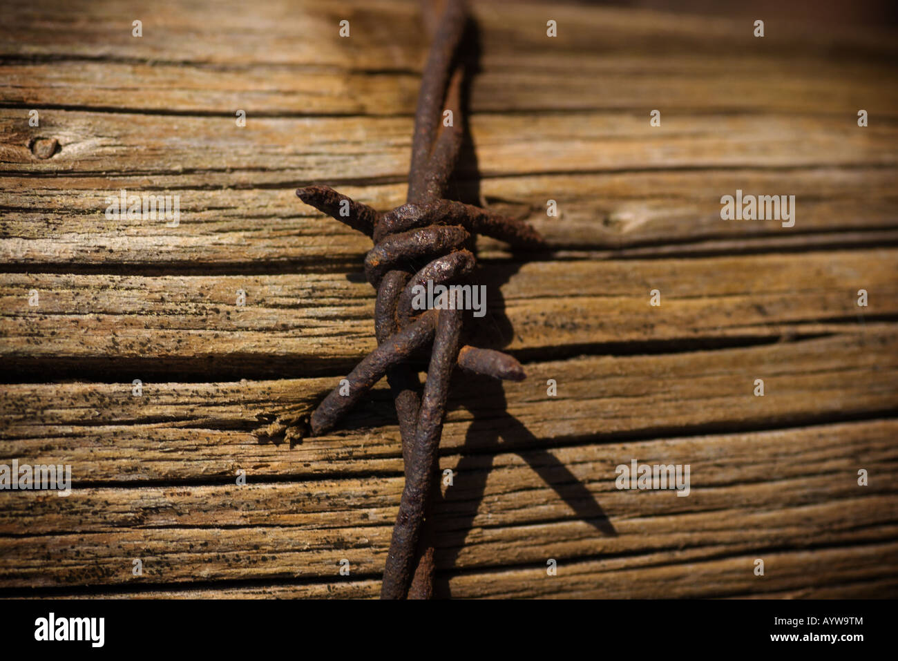 barbed wire dug into old wooden pole Stock Photo - Alamy