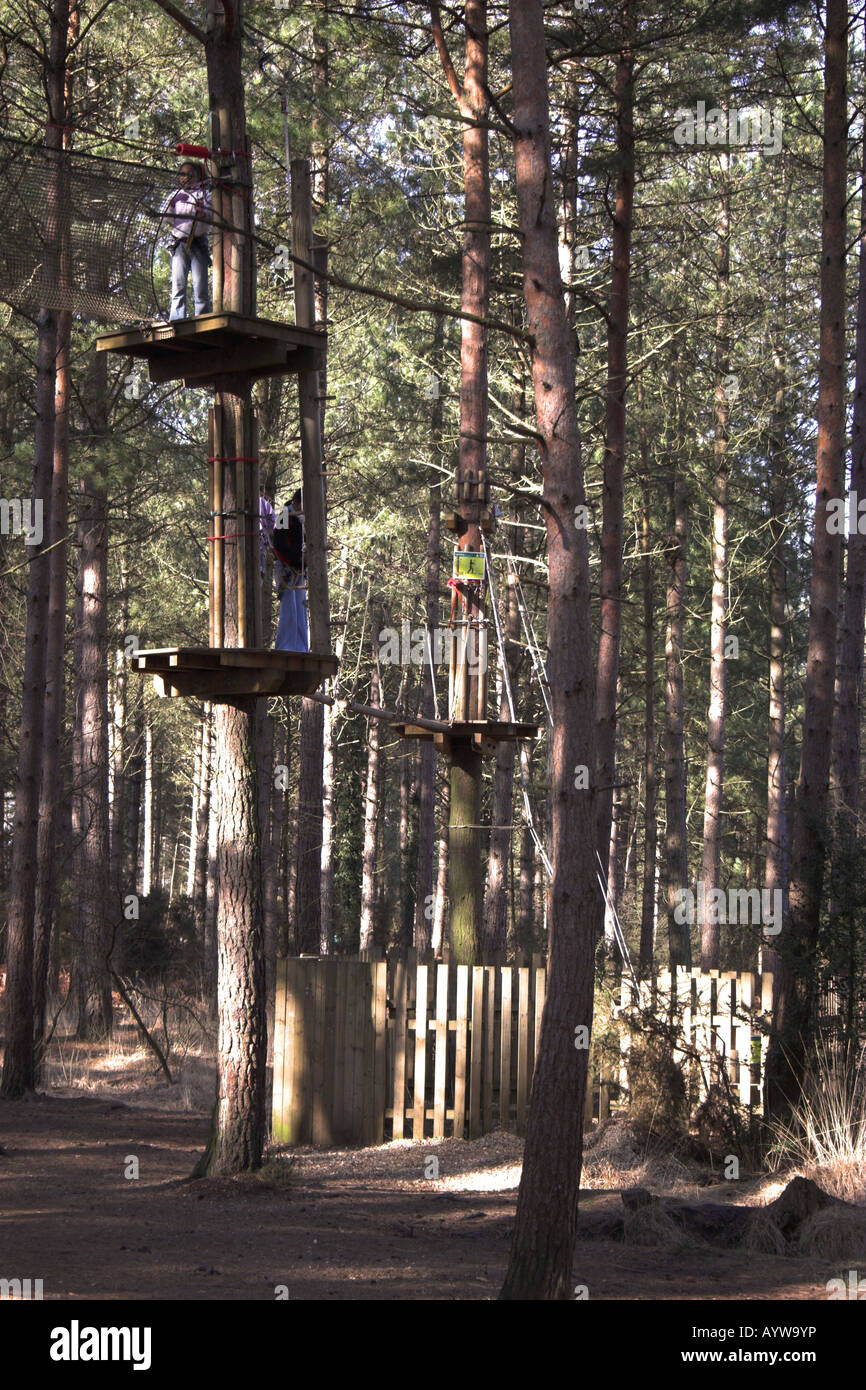 Moors Valley Country Park & Forest Stock Photo - Alamy