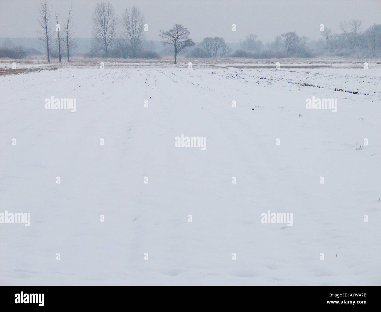 winter snow field poland Stock Photo - Alamy