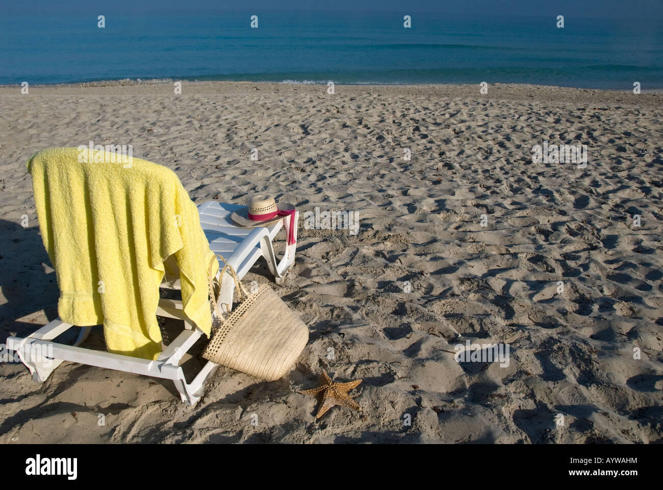 sea still life Stock Photo - Alamy