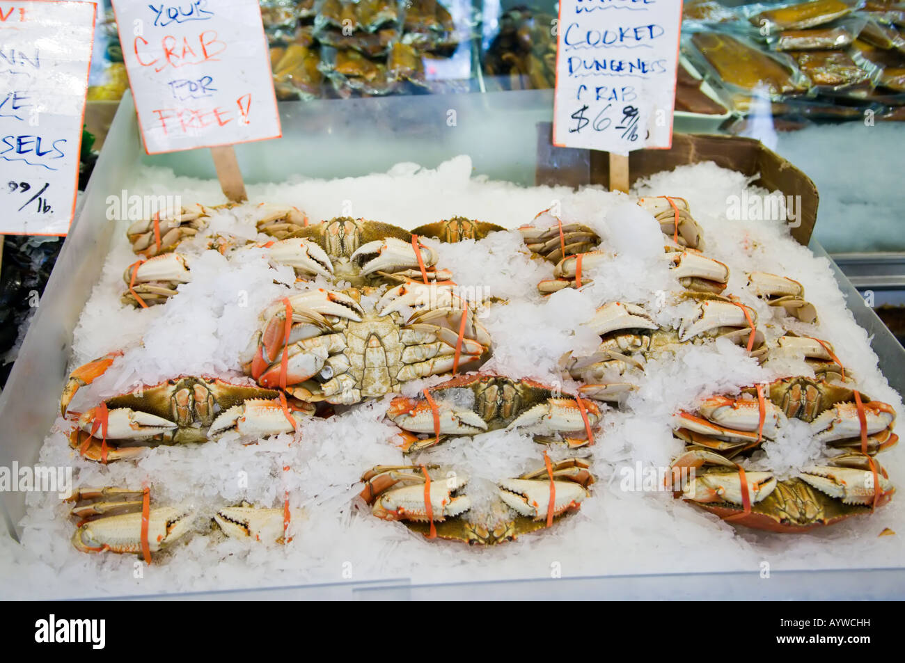 Dungeness crab on ice at Pike Place Market in downtown Seattle ...