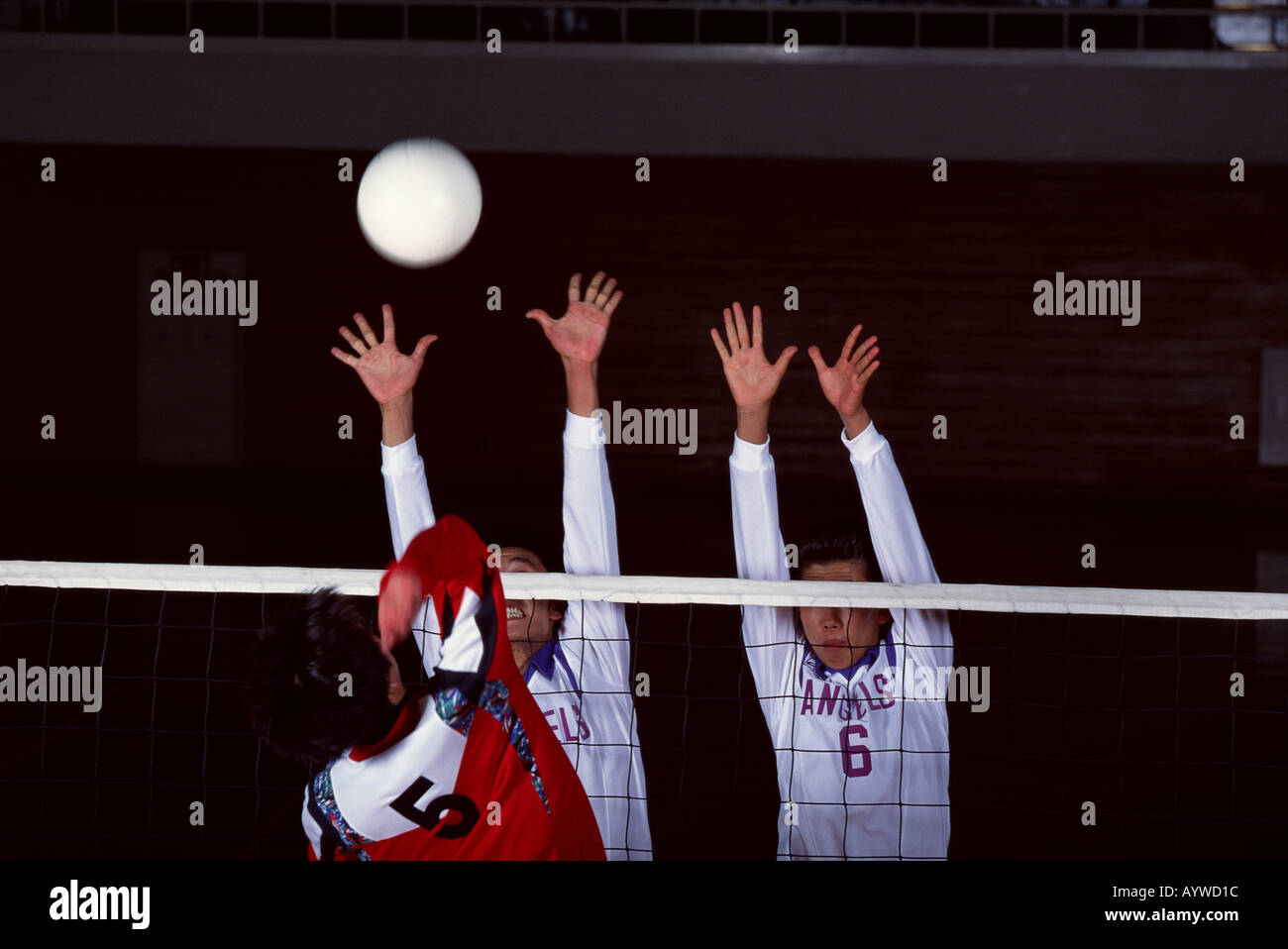 Volleyball women inside hi-res stock photography and images - Alamy