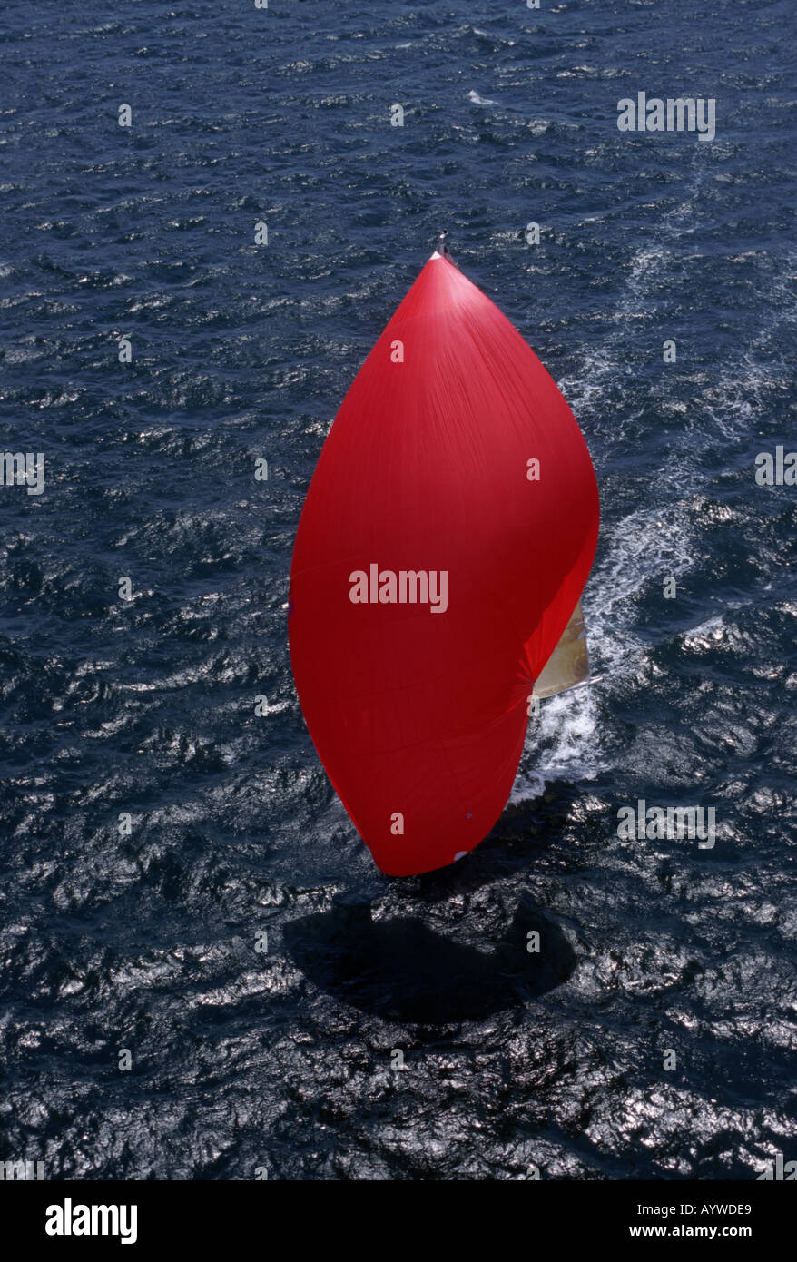 Bright red spinnaker of sailboat approaching Boat not visible Sun glint ...