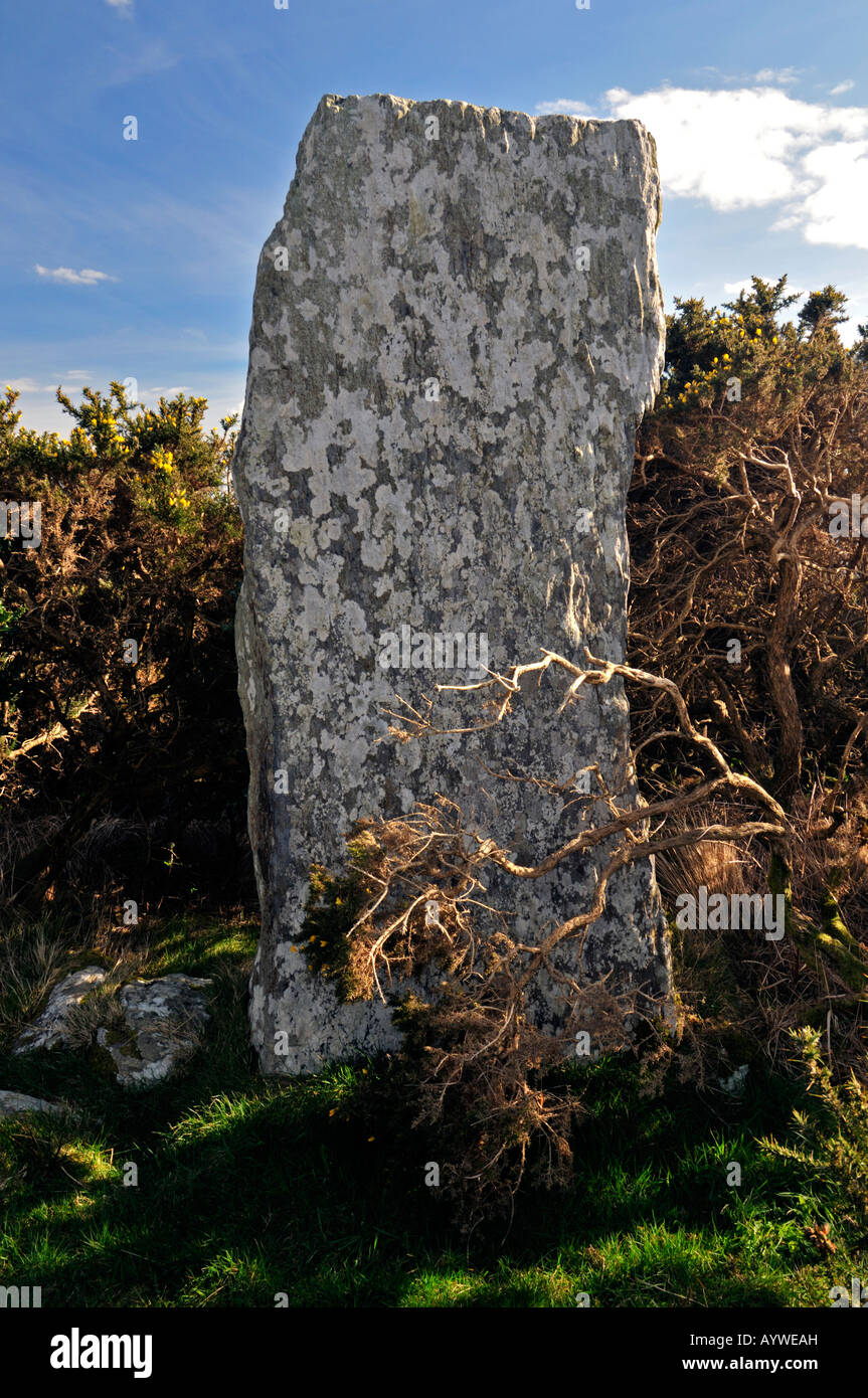 Leitrim beg standing stone hi-res stock photography and images - Alamy