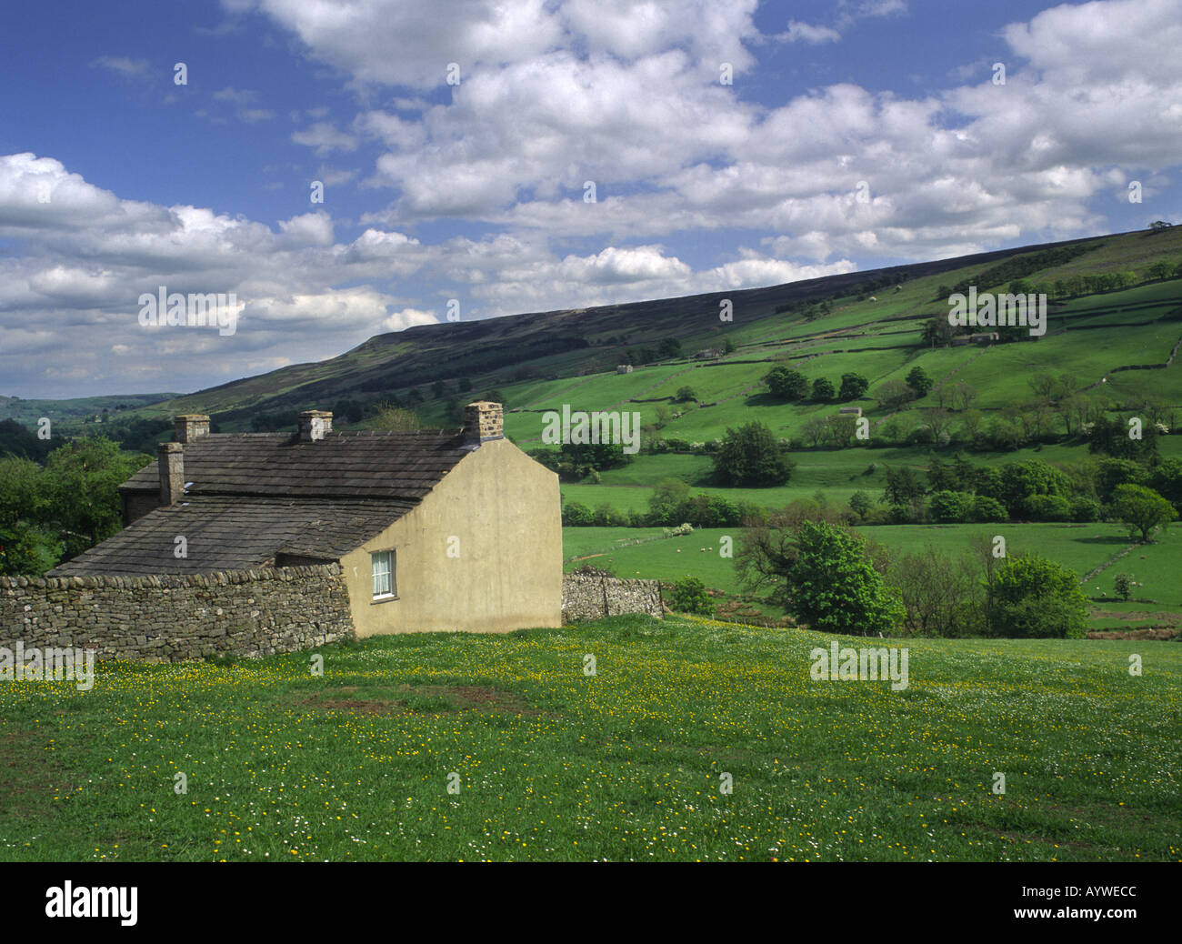 Swaledale Farmhouse Yorkshire Dales National Park England Stock Photo ...