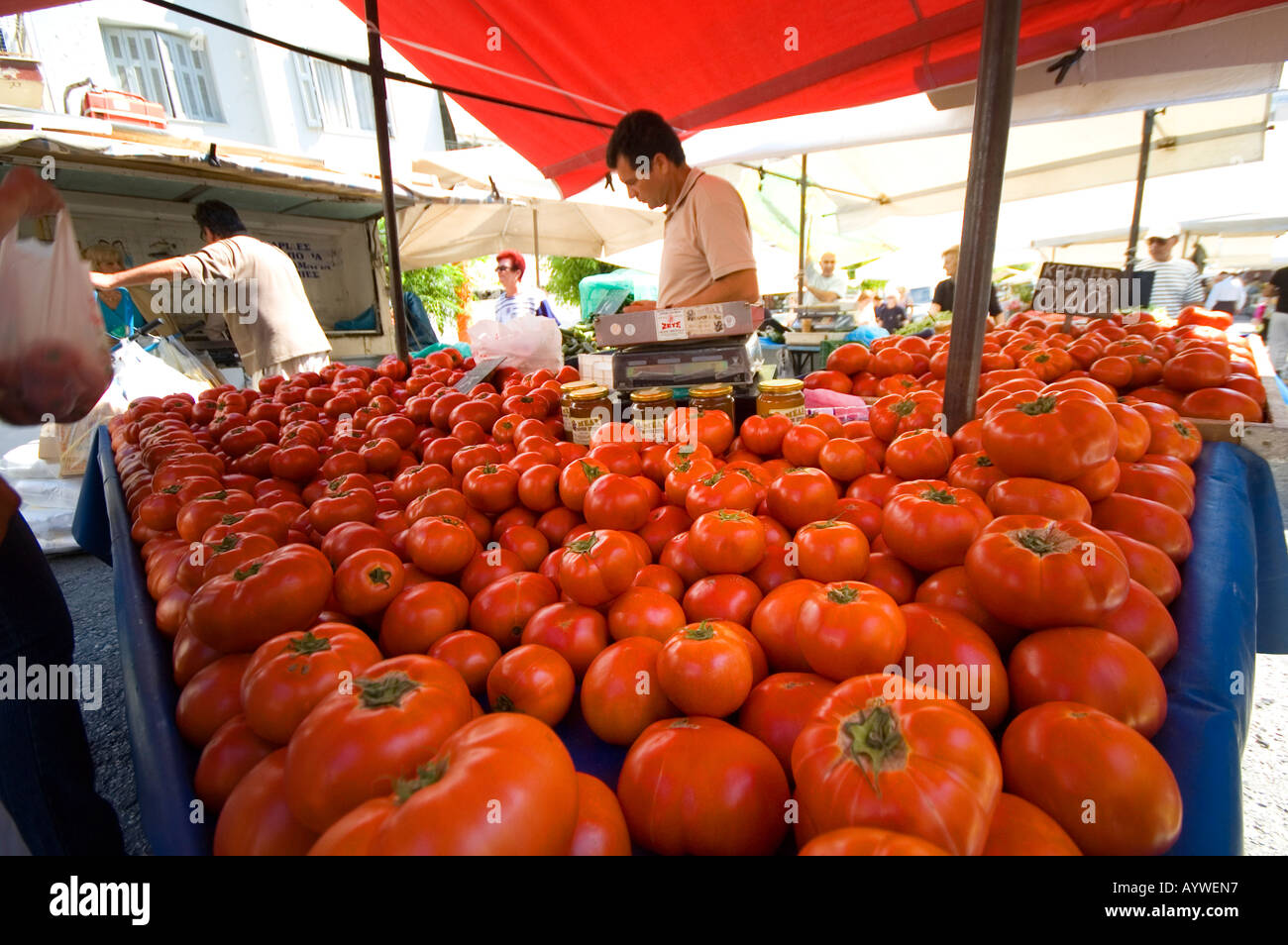 Giant Tomatoes, Greek Local Market Stall Trader, Piraeus Market, Greece ...