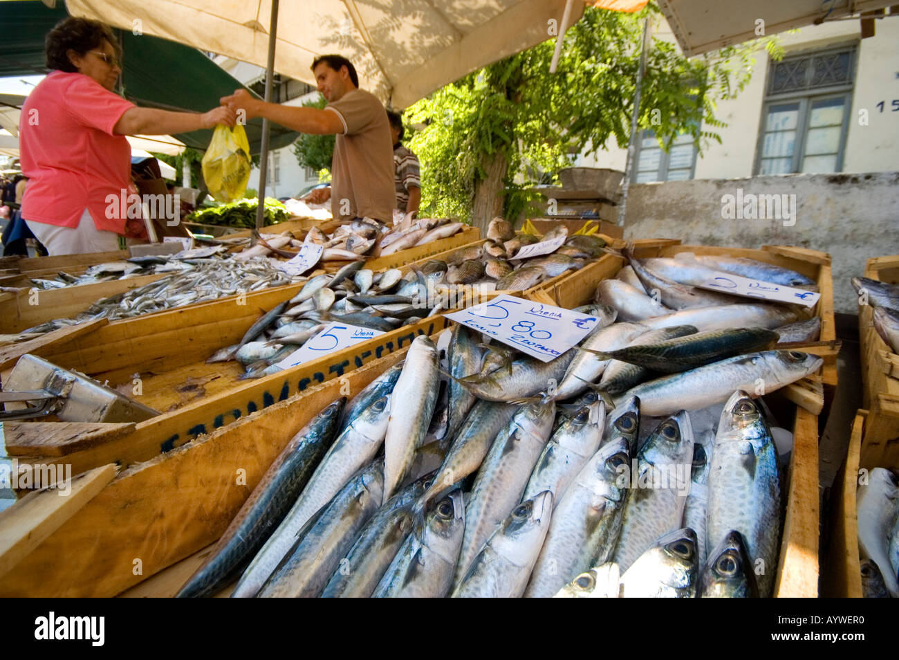 Fish Monger, Greek Local Market Stall Trader, Piraeus Market, Greece ...