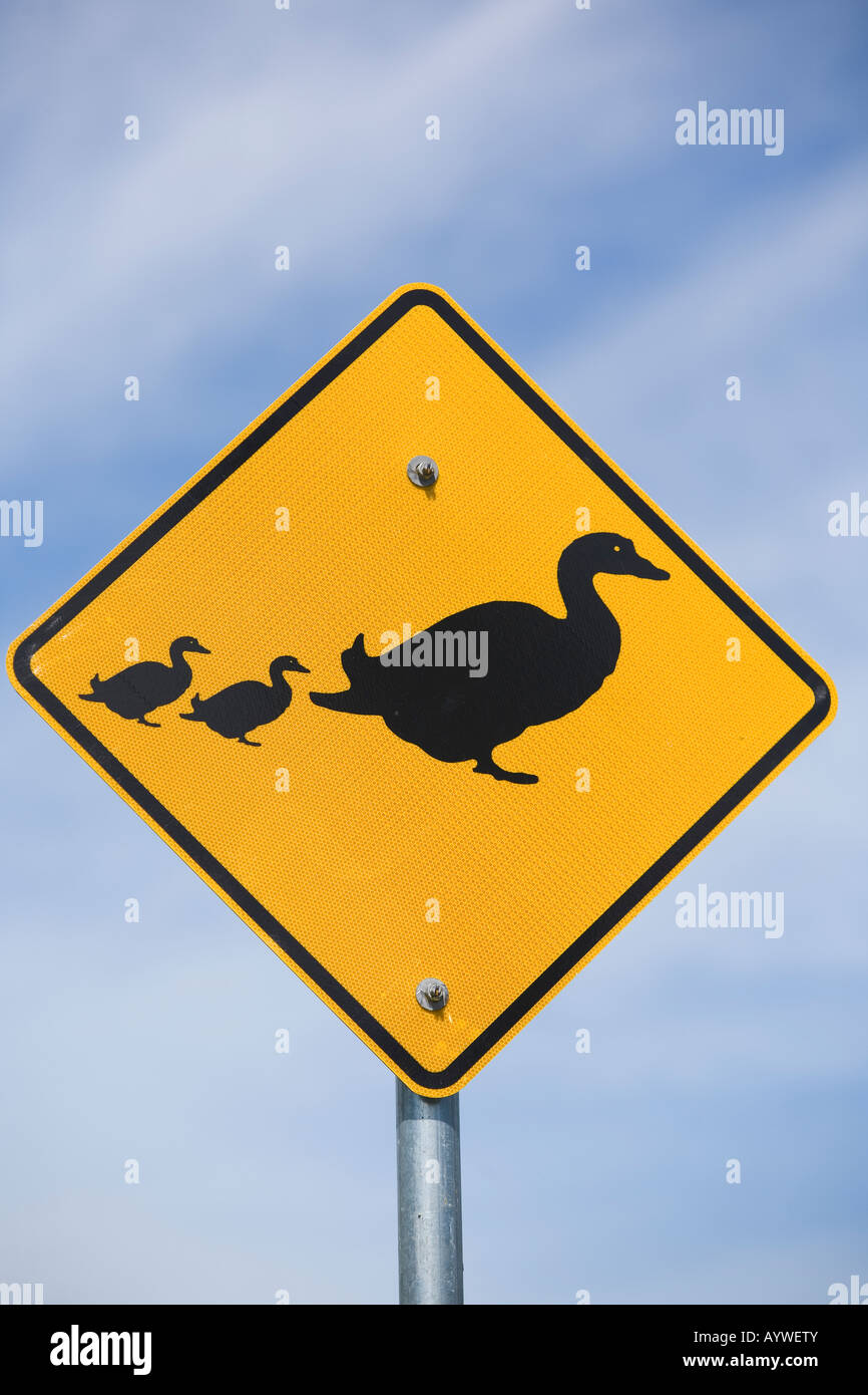 Bird sign crossing Stock Photo - Alamy