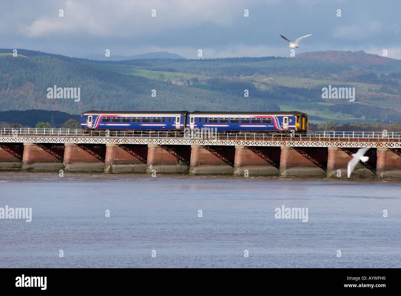 Train crossing viaduct arnside cumbria hi-res stock photography and ...