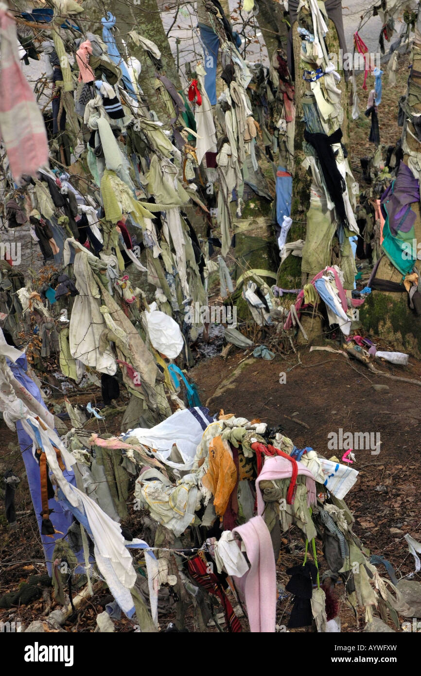 Rags on trees hi-res stock photography and images - Alamy