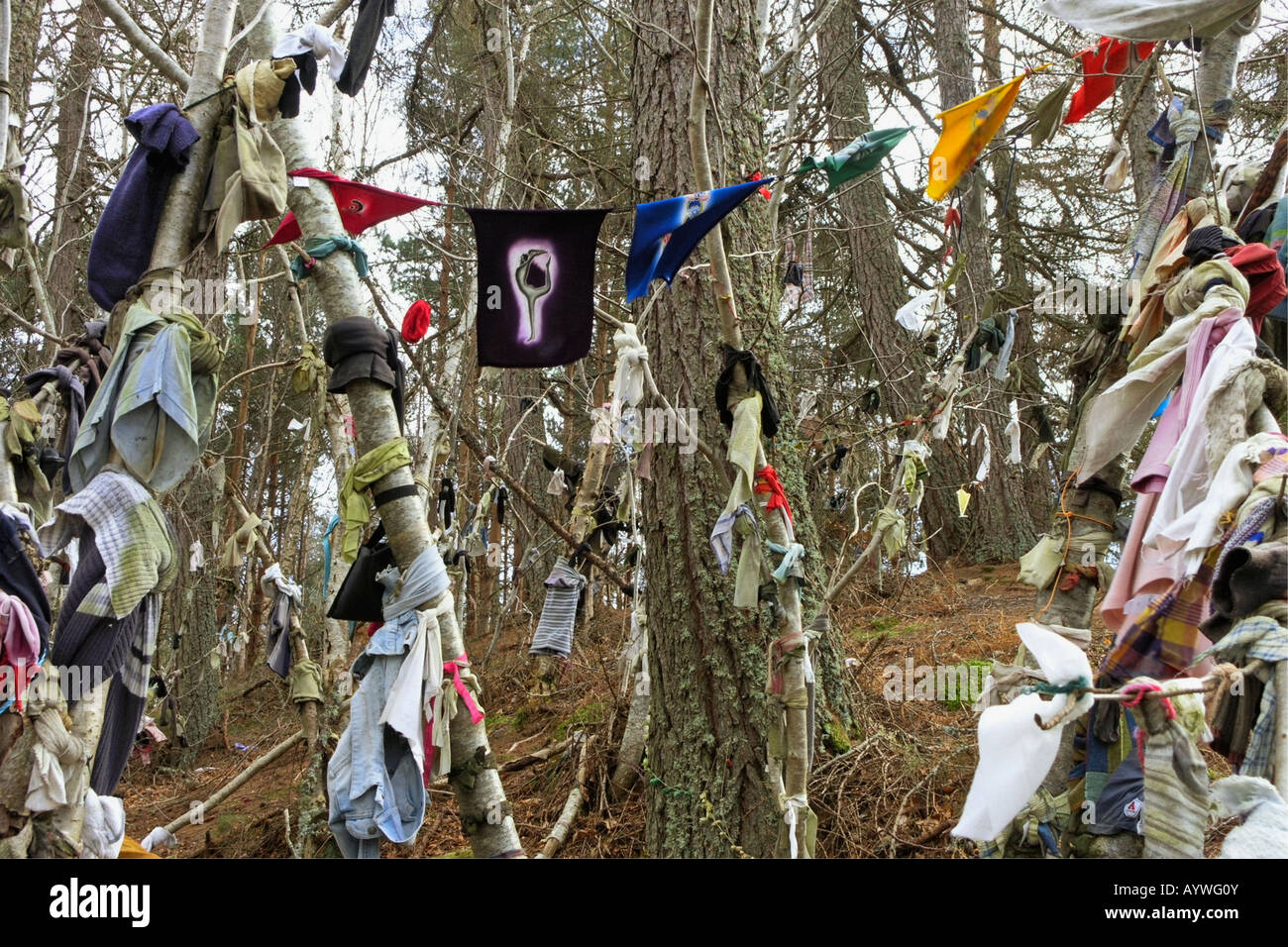 Rags on trees hi-res stock photography and images - Alamy