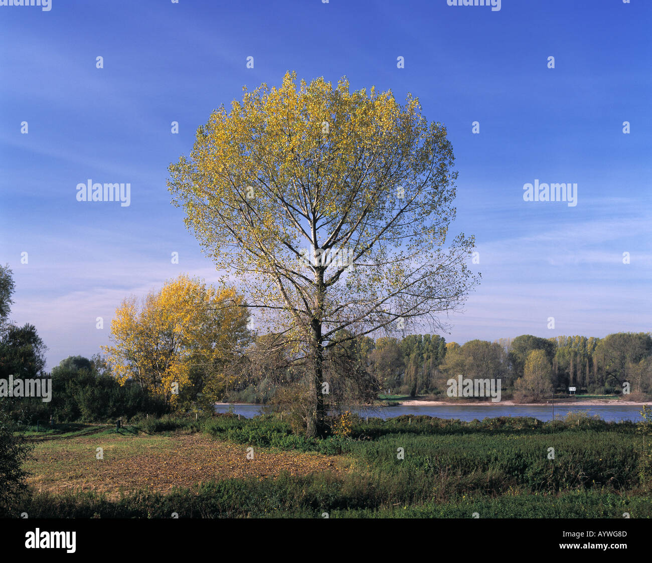 Wittlaer hi-res stock photography and images - Alamy