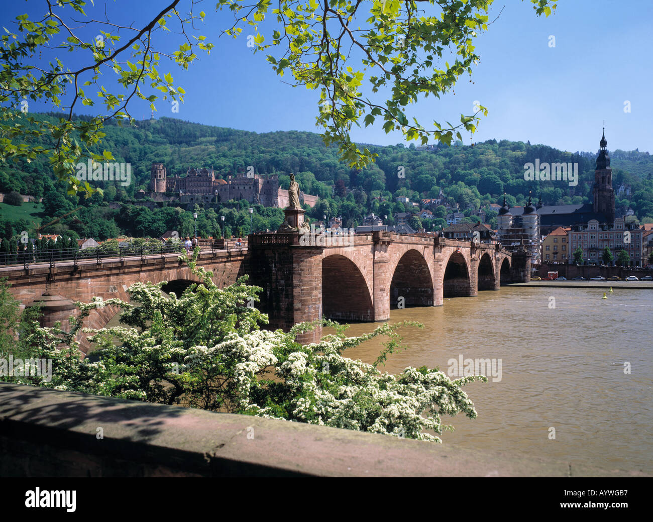 Alte Neckarbruecke mit Heidelberger Schloss und Heiliggeistkirche ...