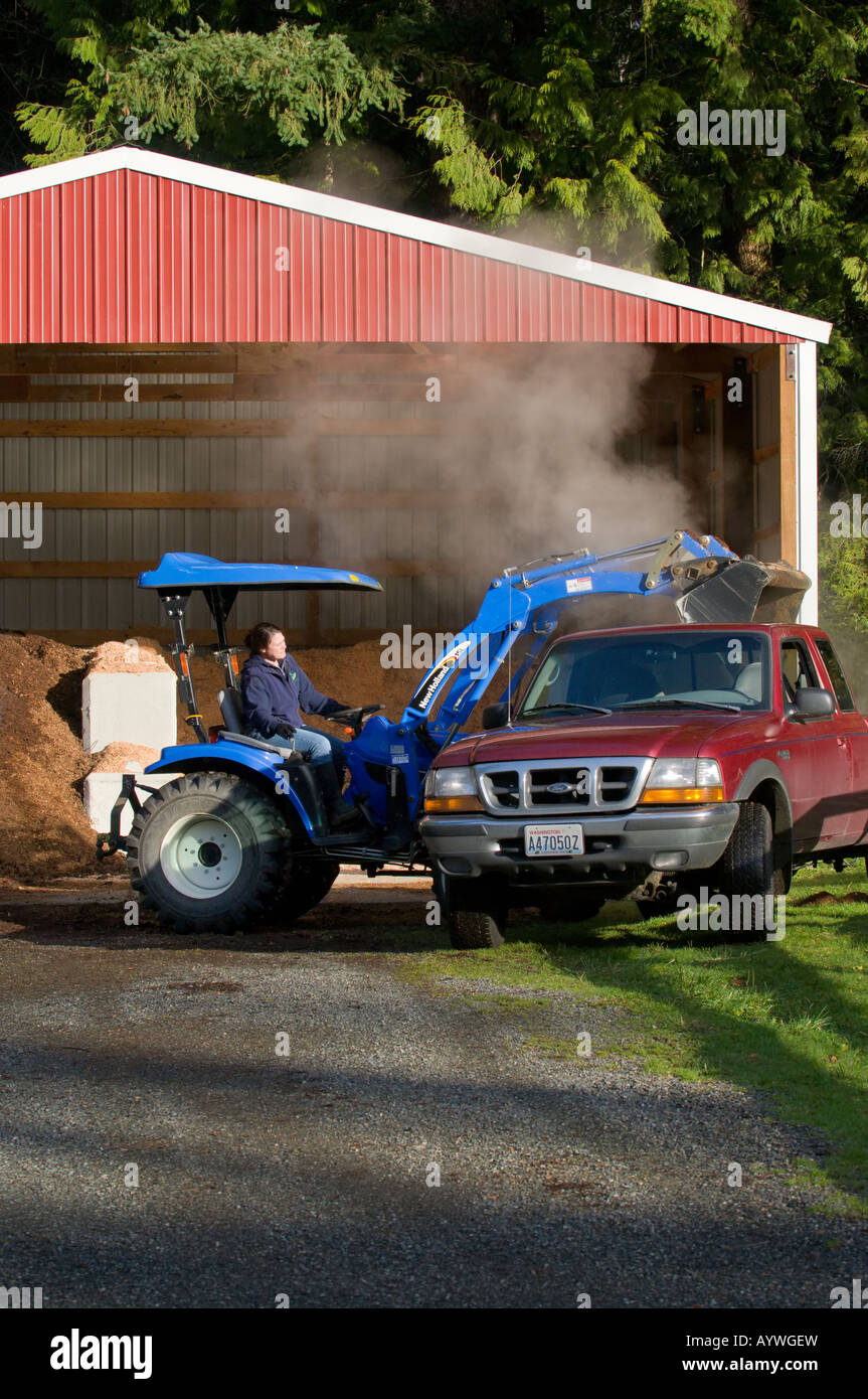 Woman operating a frontend loader loading mulch onto a pickup truck at ...