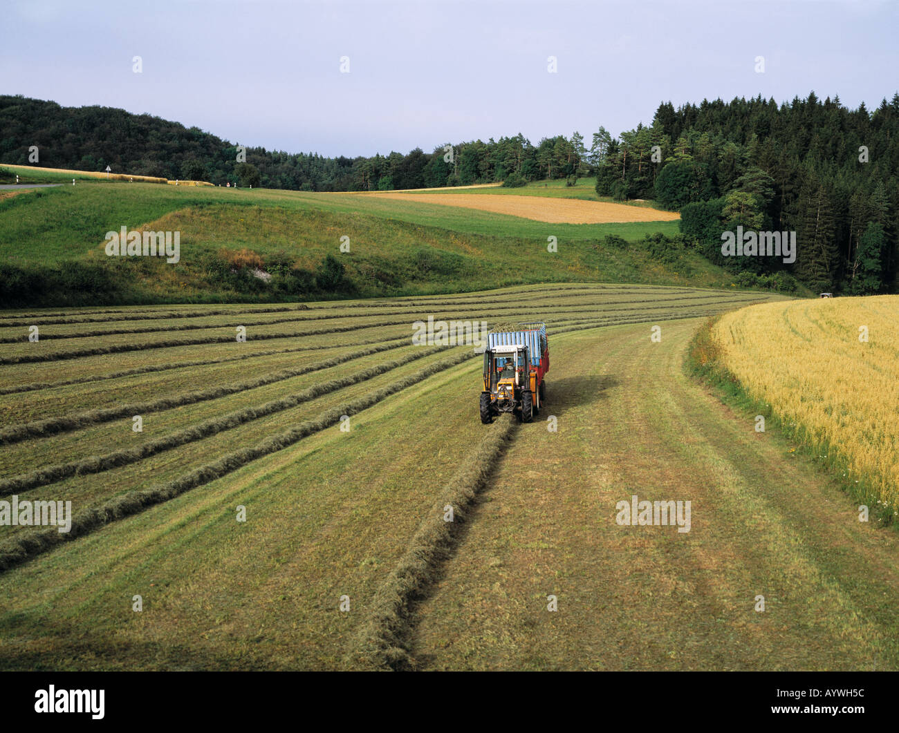 huegelige Landschaft, Wiese, Feld,abgeerntetes Feld, Heuernte, Hayingen ...