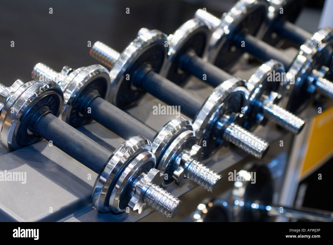weights on the fitness fair FIBO in Essen Germany Stock Photo - Alamy