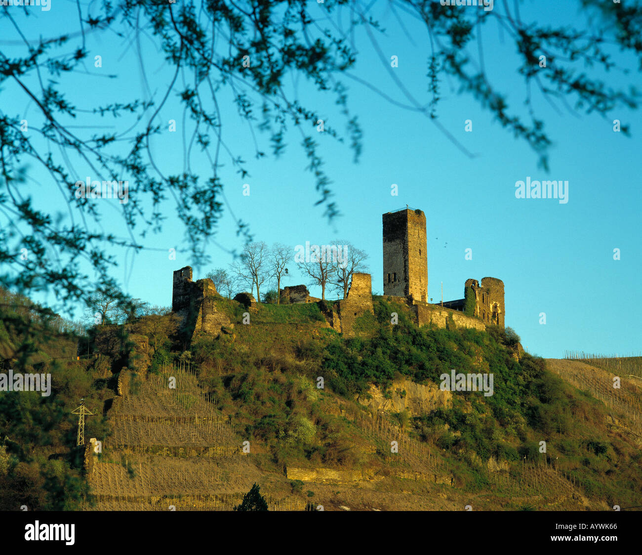 Burgruine metternich hi-res stock photography and images - Alamy