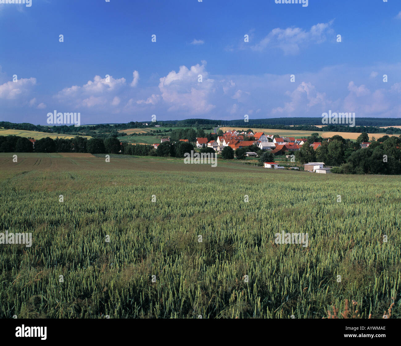 Eichsfeldlandschaft hi-res stock photography and images - Alamy