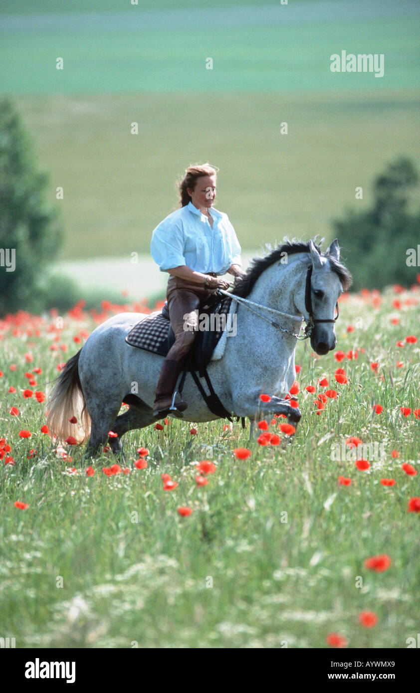 Horseback ride in grand hi-res stock photography and images - Alamy