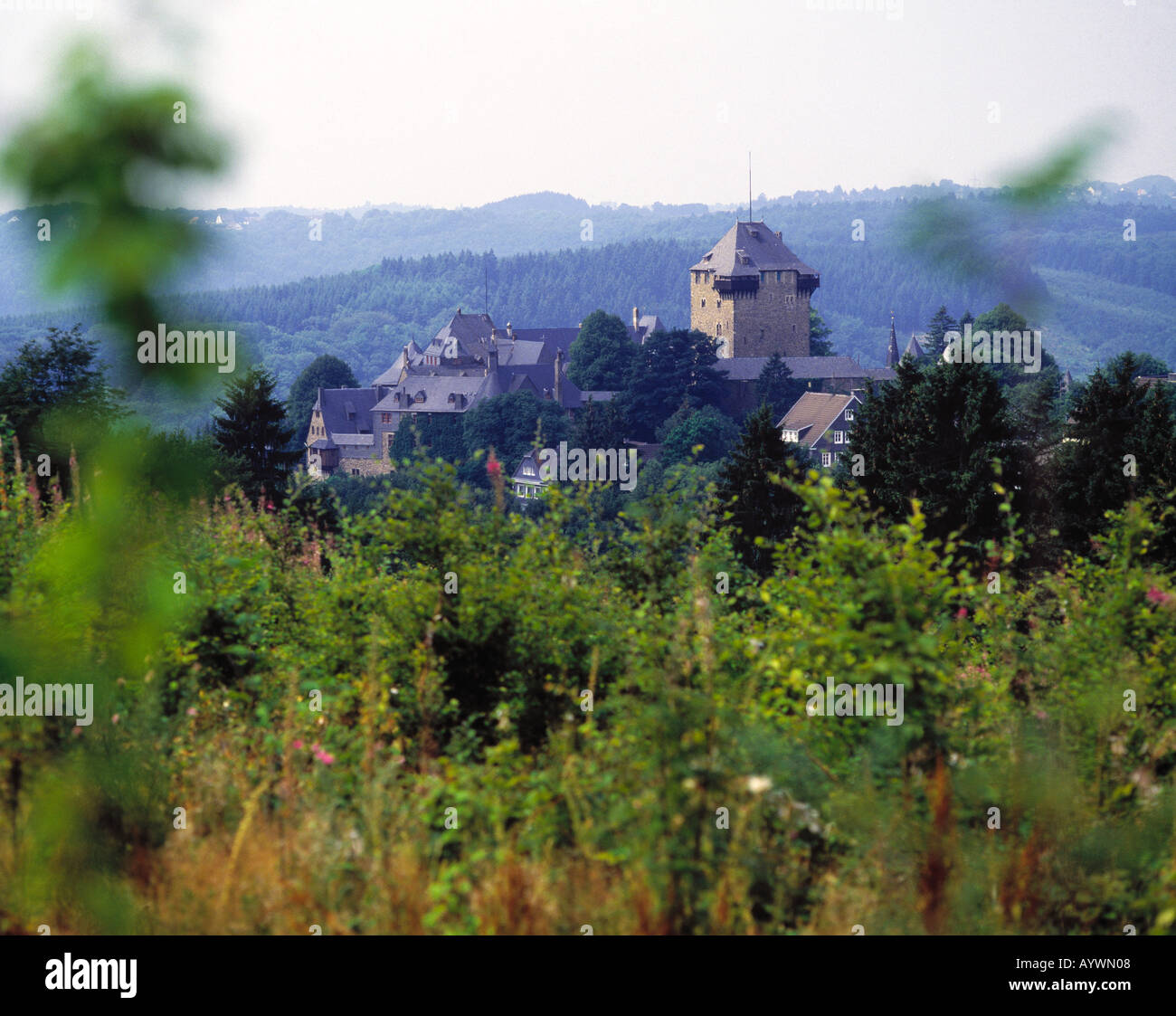 Schloss Burg in einer Waldlandschaft, Solingen-Burg, Naturpark ...