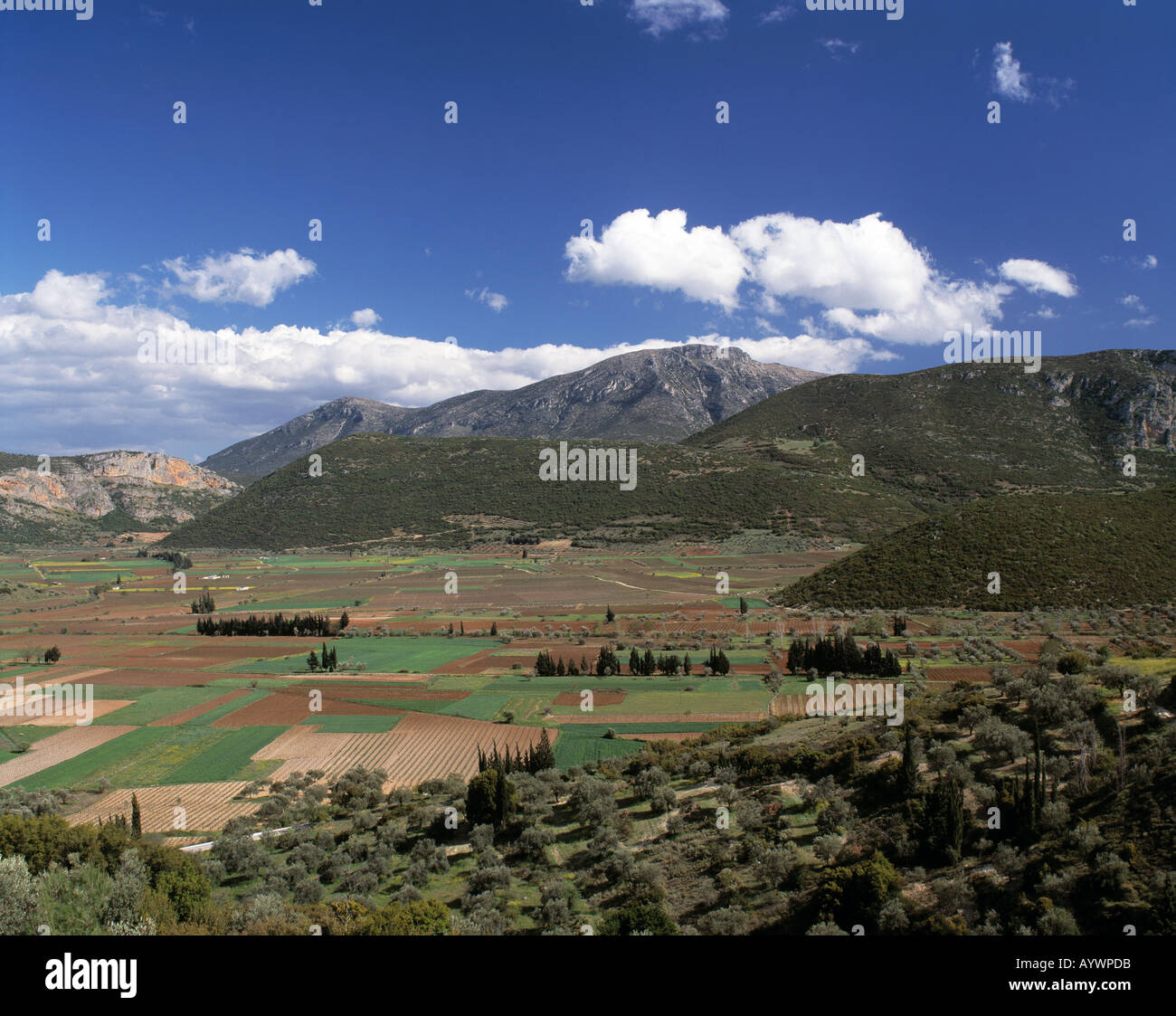 Andonia hi-res stock photography and images - Alamy