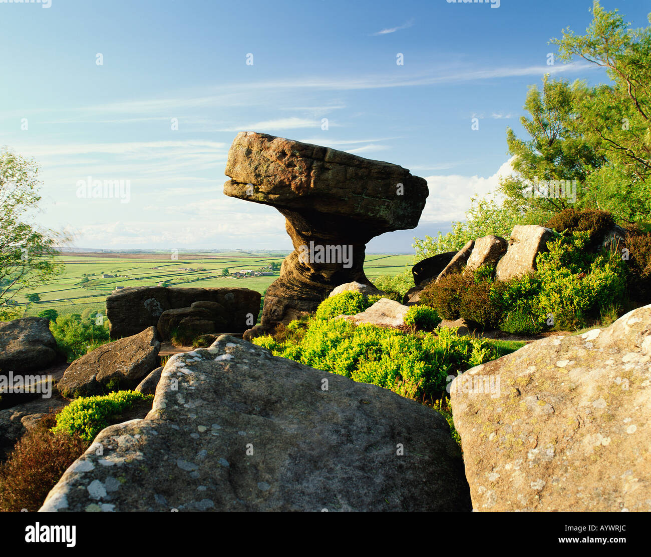GB YORKSHIRE BRIMHAM ROCKS NIDDERDALE Stock Photo - Alamy