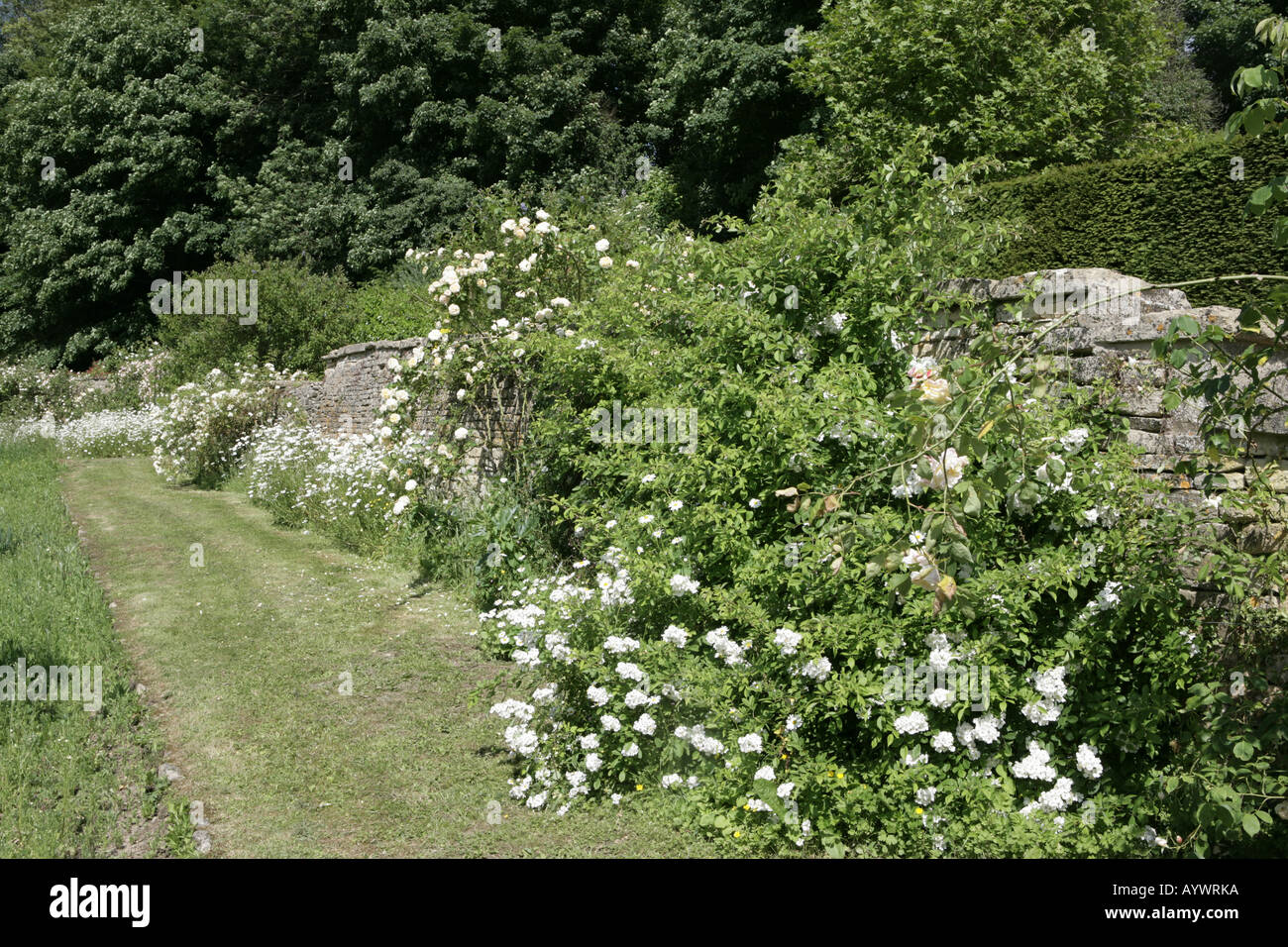 National garden scheme visit hi-res stock photography and images - Alamy