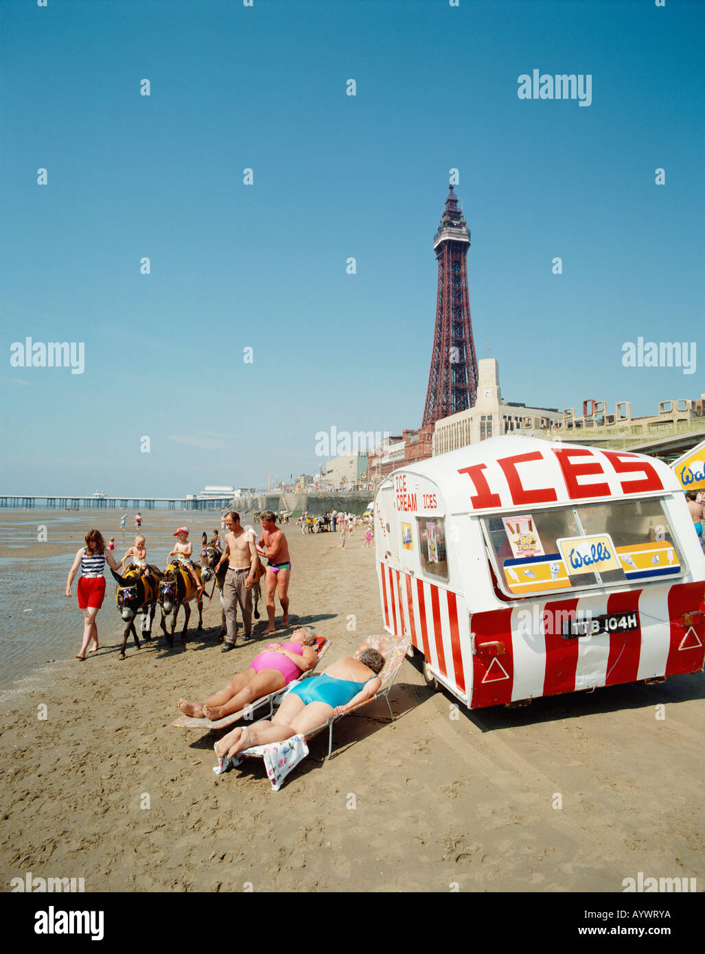 Donkey Ice High Resolution Stock Photography and Images - Alamy