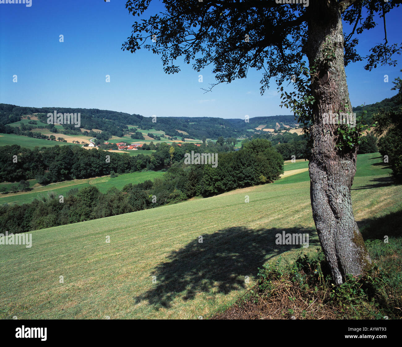 Bewaldete hi-res stock photography and images - Alamy