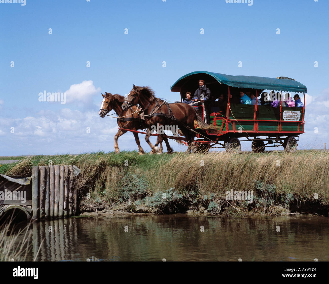 A horse drawn water carriage hi-res stock photography and images - Alamy
