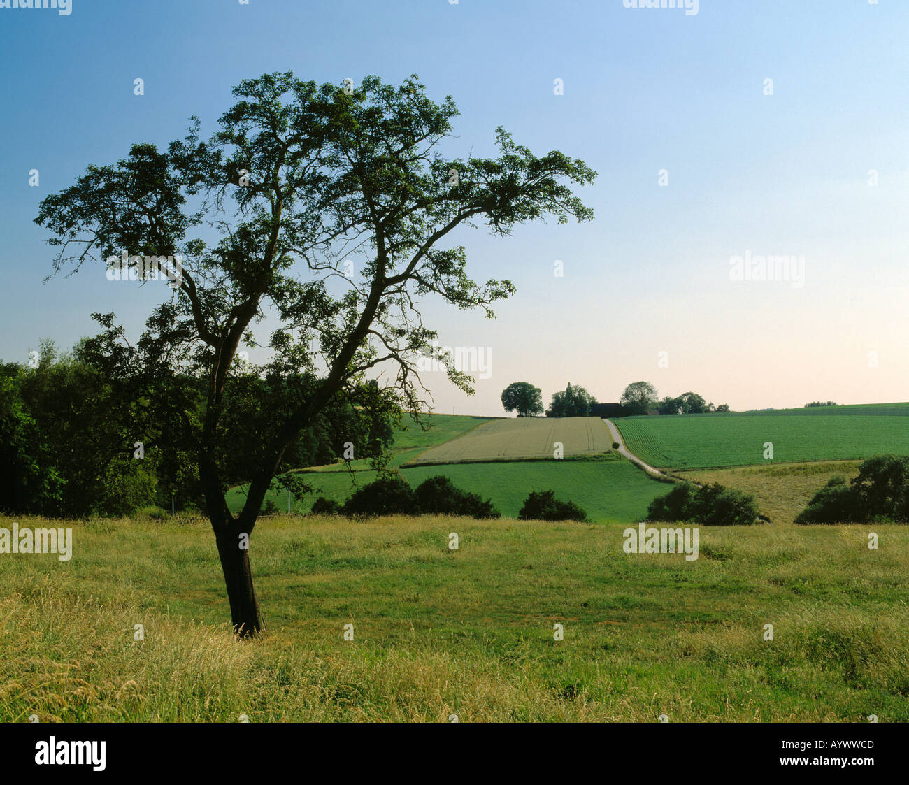idyllische Landschaft in Essen-Bredeney, Ruhrgebiet, Nordrhein ...