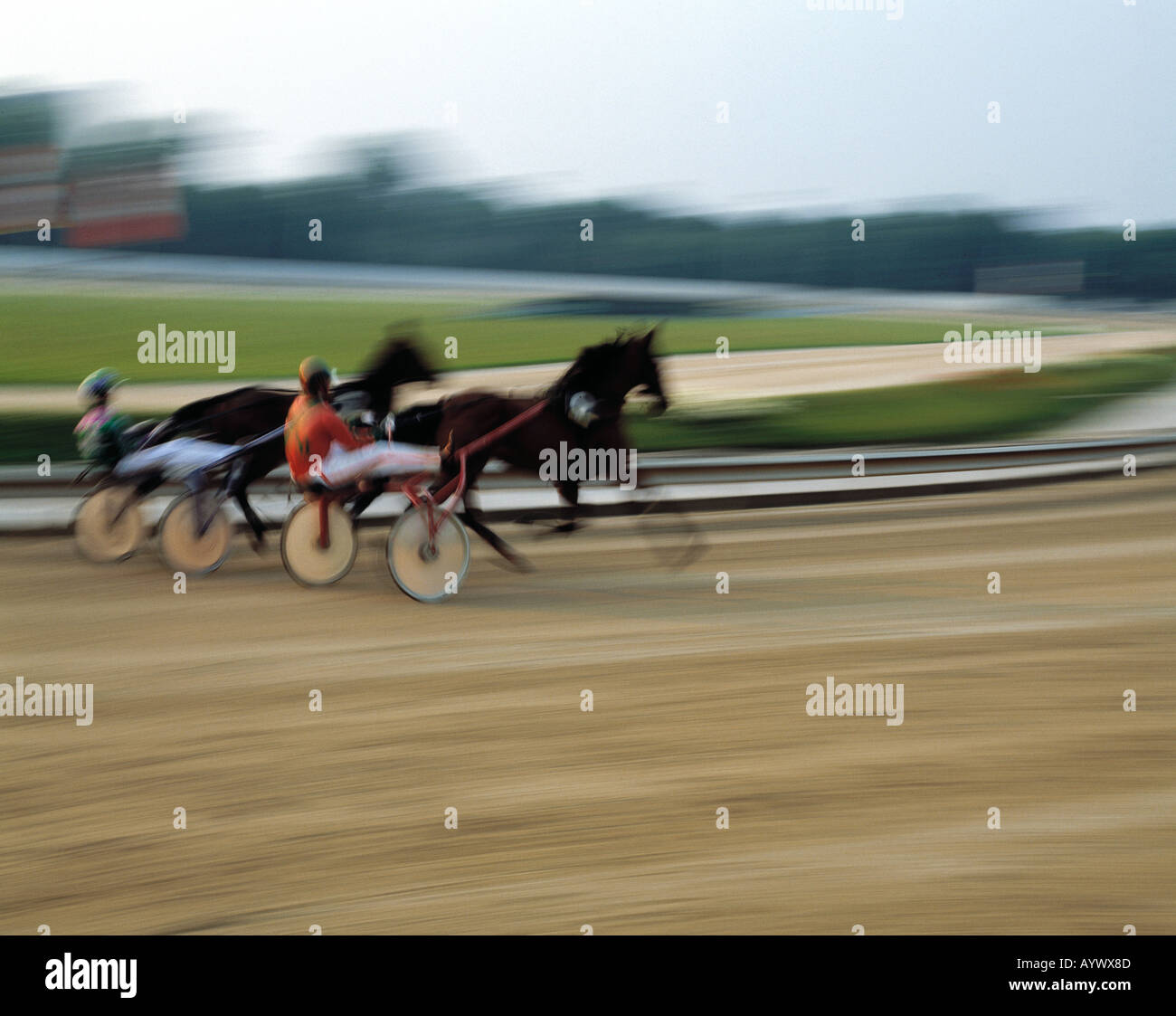 Traber trotter horse hi-res stock photography and images - Alamy