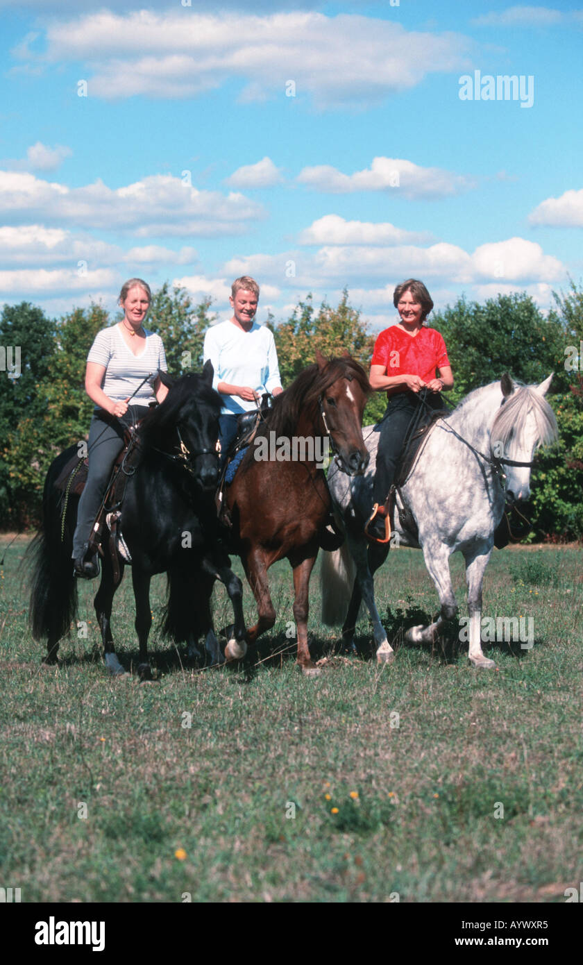 riding group with peruvian paso horse paso peruano caballo peruano de ...