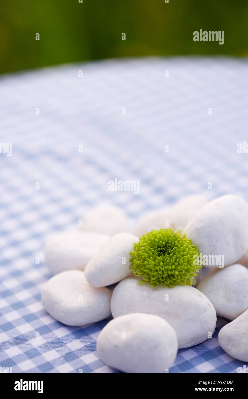 Pebble and fruits on the table Stock Photo - Alamy
