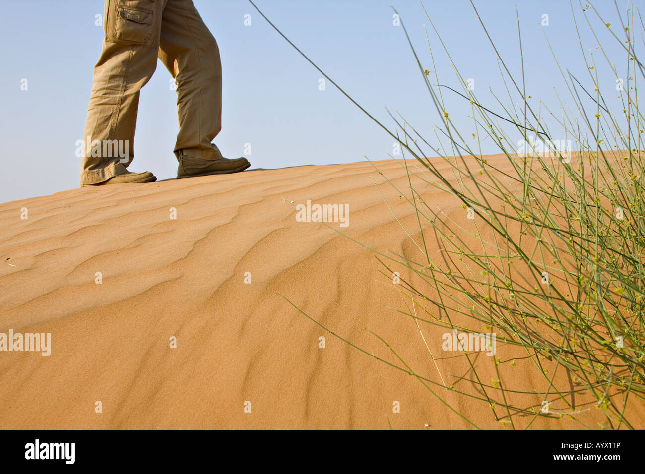 Feet on a desert sand, Thar Desert, Rajasthan, India Stock Photo - Alamy