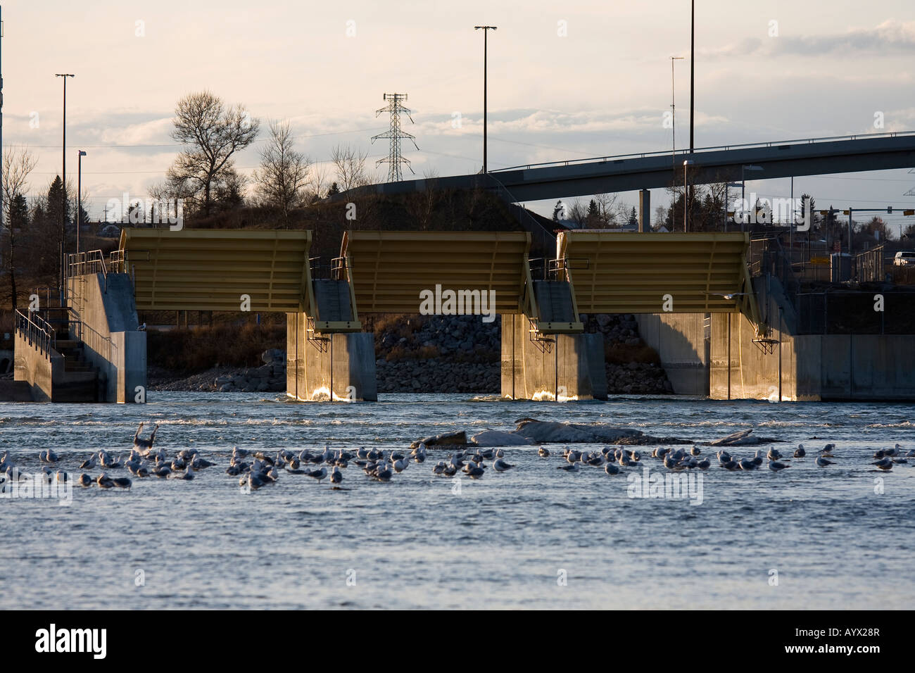 Weir gates hi-res stock photography and images - Alamy