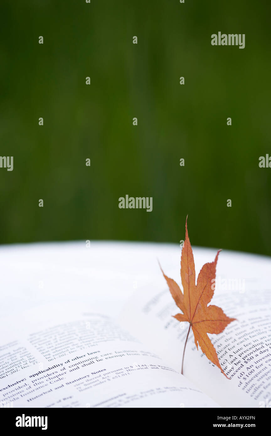 colored leaf in the book Stock Photo - Alamy