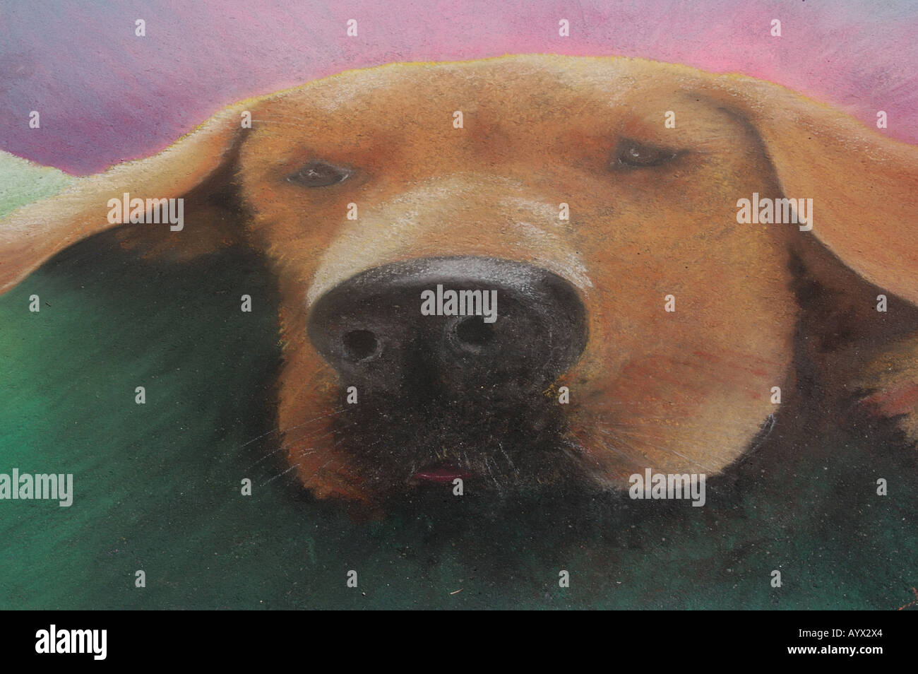 Chalk dog drawing hi-res stock photography and images - Alamy