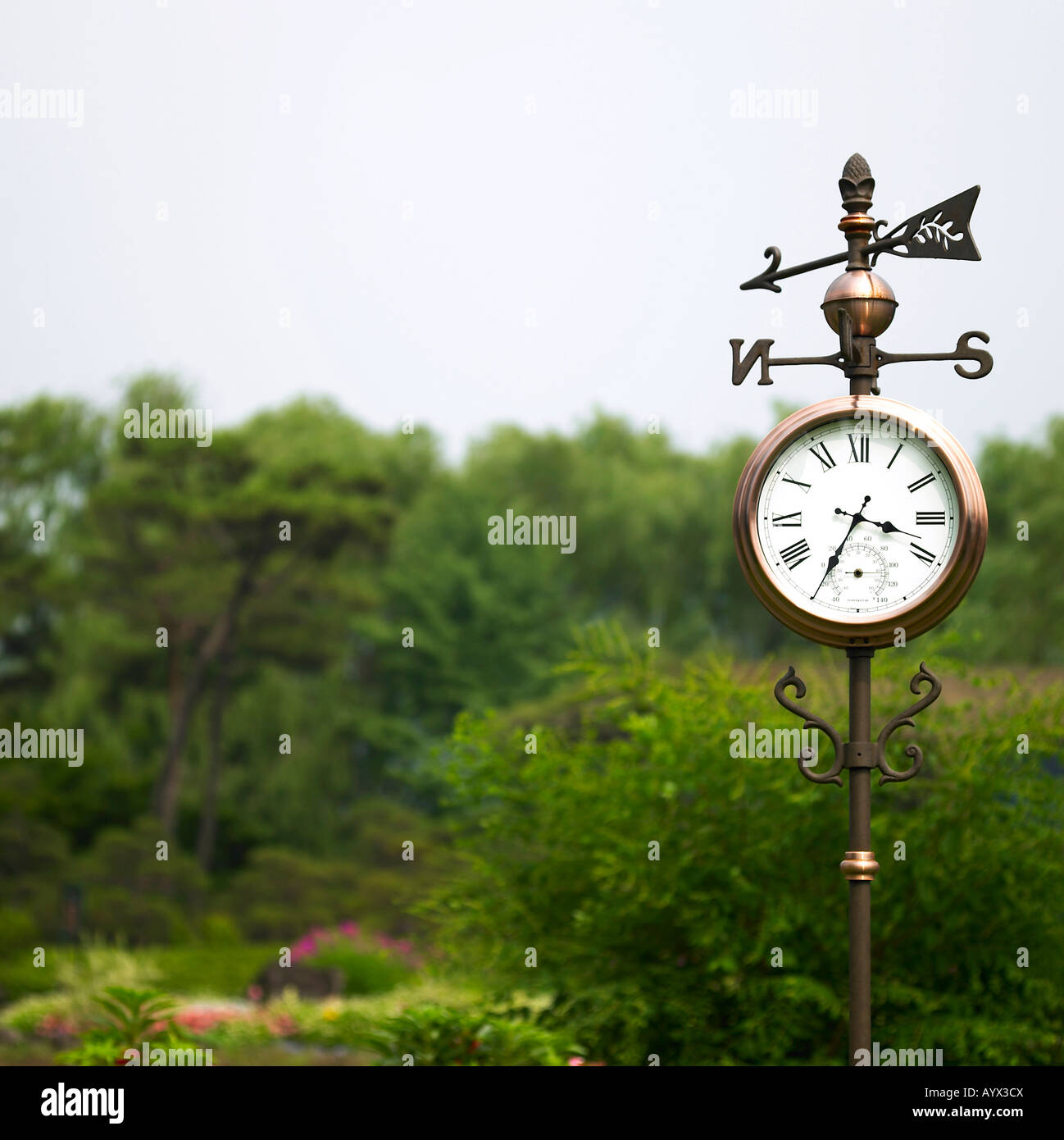 clock in the forest Stock Photo - Alamy