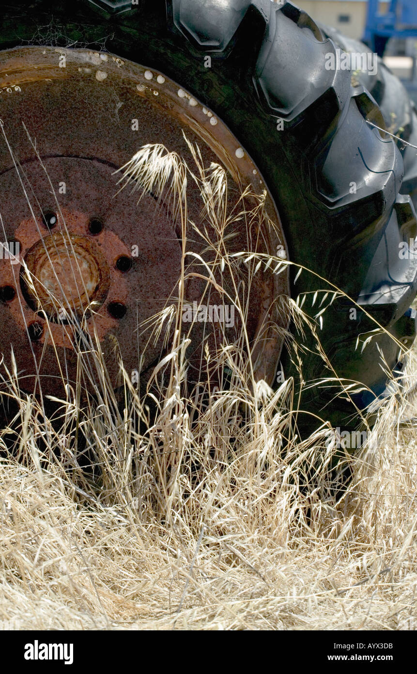 Old tractor wheel with long grass Stock Photo - Alamy