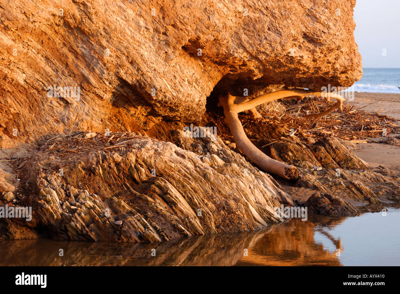 Hendry's Beach High Resolution Stock Photography and Images - Alamy