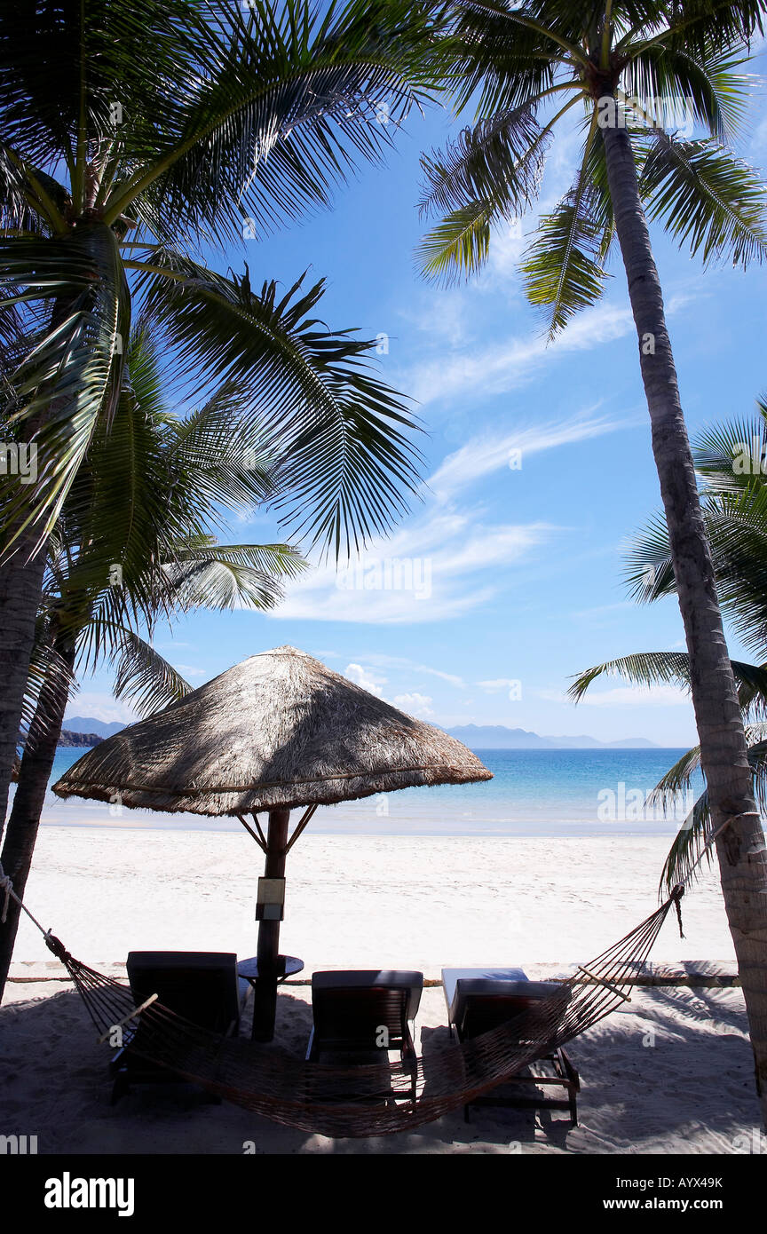 shade of palm tree at the beach Stock Photo - Alamy