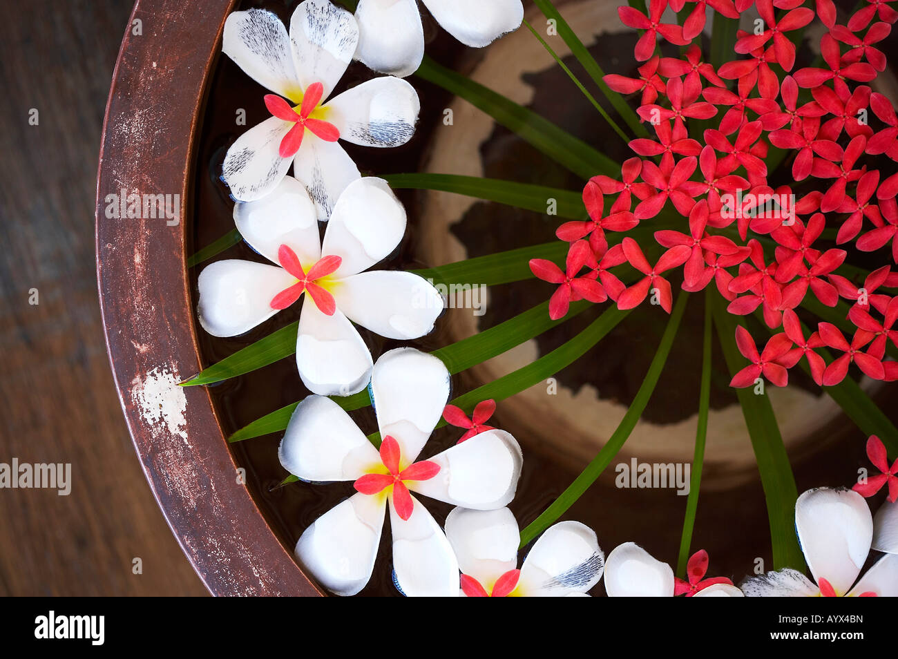 Receptacle of the flower hi-res stock photography and images - Alamy