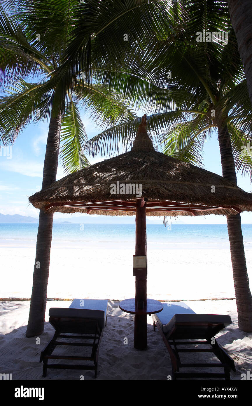 parasol under the shade of palm tree Stock Photo - Alamy